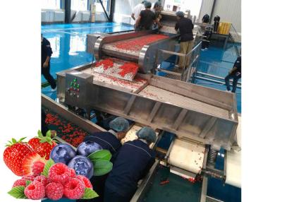 China Linkage Control Strawberry Juice Processing Machine 220V / 380V Voltage for sale