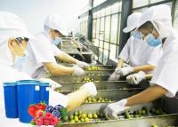 China Customized Berry Processing Machinery For Berry Juice Production Line for sale