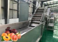 China Water Saving Fruit Processing Line Apricot Juice Concentration Safety Control for sale