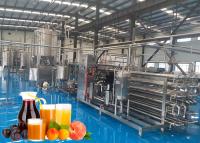 China SS 304 Fruit Processing Line Peach Processing Plant Juice Puree Dried for sale