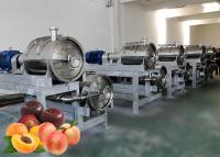 China Industrial Food Standard Apple Processing Line Large Capacity Water Saving for sale