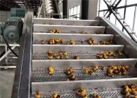 China Energy Saving Passion Fruit Processing Line Easy Operation CE Certificate for sale