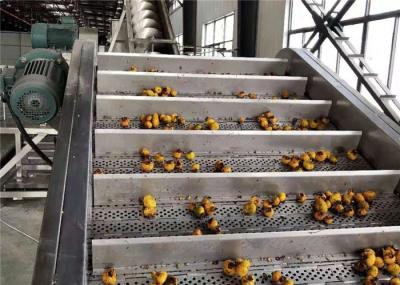 China Energy Saving Passion Fruit Processing Line Easy Operation CE Certificate for sale