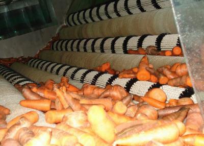China Fully Automatic Production Line For Carrot Fruit Drink SUS304 for sale