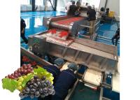 China Industrial Grape Flavored Beverage Production Line For Grape Processing Plants for sale