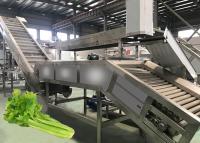 China Large Scale Vegetable Juicer Machine High Capacity Juice Concentration 220V Voltage for sale