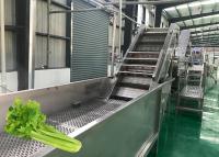 China Stable Celery Food Processing Equipment Carrot Processing Line Food Grade ISO9001 for sale