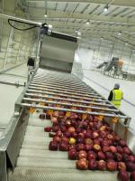 China Fully Automatic Apple NFC Juice Production Line Juice Yield ≥ 72% Processing Capacity 5T/H for sale