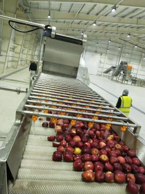 China Fully Automatic Apple NFC Juice Production Line Juice Yield ≥ 72% Processing Capacity 5T/H for sale