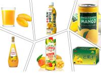 China Industrial Mango Juice & Dried Fruit Production Line for sale