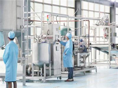 China 380V 5t/H 10t/H SUS304 Pomegranate Processing Line for sale