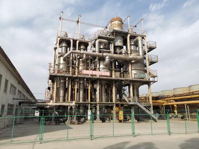 China SUS316 Customized 1500 T/D Tomato Paste Equipment for sale