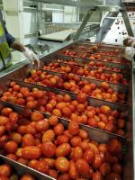 China 220v / Customized Tomato Processing Line Fruit Jam Production Line Energy Saving for sale