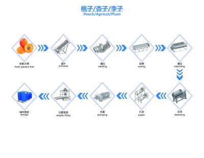 China Prune NFC Juice Production Line Prune Juice Processing Line SUS304 for sale
