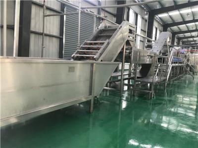 China Ketchup Sauce PLC Control Tomato Processing Line Ss304 250t/D for sale