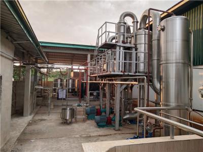 China Energy Saving 250t/D Tomato Paste Processing Equipment for sale