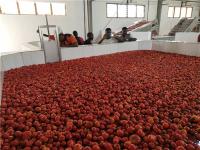 China Sus 403 Tomato Processing Line Sauce Production 15kw Water Recycle for sale
