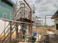 China Food Grade SS304 Complete Fresh Tomato Processing Line 2000t/D for sale