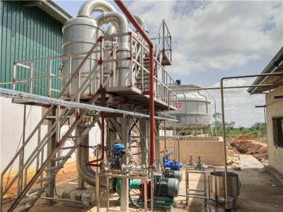 China Food Grade SS304 Complete Fresh Tomato Processing Line 2000t/D for sale