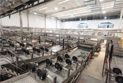 China Double Concentrate Berry Fruit Tomato Processing Line for sale