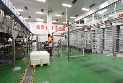 China Ketchup 150t/D 800g/Tin Tomato Processing Line Extracting for sale
