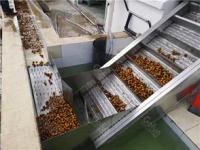 China Automatic SUS304 Tomato Sauce Production Line Water Saving 440V for sale