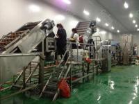 China Turnkey Tomato Processing Line with Aseptic Filling and Customized Capacity for Tomato Paste Production for sale