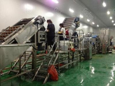 China Turnkey Tomato Processing Line with Aseptic Filling and Customized Capacity for Tomato Paste Production for sale