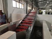 China Complete Tomato Sauce Processing Line | For Purees, Pastes & Cooking Sauces for sale