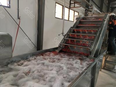 China Food Grade SUS304 Tomato Production Line Customized 100T/D for sale