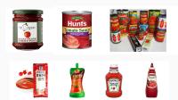 China Industrial Tomato Paste Making Machine | 20-1500T/D | Fast Delivery for sale