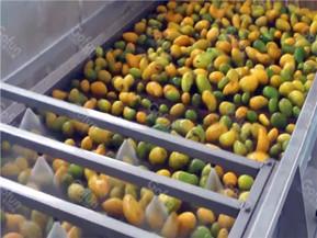 China One Stop Service​ SUS304 Mango Jam Processing Line For Finished Product 10 - 200T/D for sale
