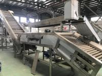 China Fully Automatic Concentrated Mango Juice Production Line Water Saving for sale