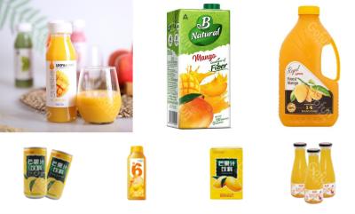 China Complete Automatic Mango Processing Line with 1 t/h-20 t/h Capacity, SUS304/SUS316 Material, and Energy-Saving Features for sale