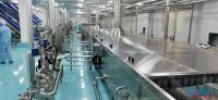 China Industrial Mango Processing Line For Mango Juice Jam Stainless Steel machine 5 t/h for sale