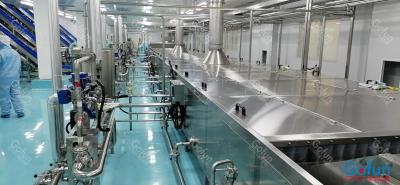 China Industrial Mango Processing Line For Mango Juice Jam Stainless Steel machine 5 t/h for sale