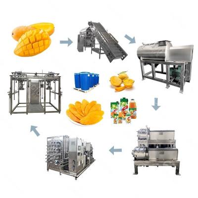 China Turnkey Mango Processing Factory – Four Product Lines in One Design for sale
