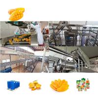 China SUS304 / 316L Mango Juice Processing Machine 3T/H One Stop Service for sale