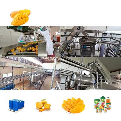 China SUS304 / 316L Mango Juice Processing Machine 3T/H One Stop Service for sale