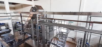 China SUS316 industrial Mango Puree Processing Line Mango Pulp Machine 25t/H for sale