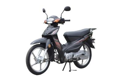 China Single Cylinder 110cc Enduro Dirt Bikes Automatic Clutch Pit for sale