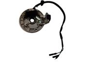 China Magnato Rotor for sale