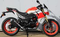 China VOLTEX 250 Price 410USD Streebike Style Large 250CC Engine Petrol Moto OEM Adult Street Bike High Speed Motorcycle Sport for sale