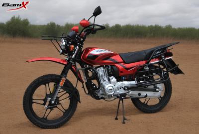 China 150CC engine Mini Sportbike Dirt Bikes For Adult Seat Height 30-35 Inches Adventure Dual Motorcycle for sale