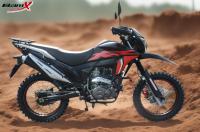 China Water Cooling 150cc 200cc 250cc 300cc Gas Off Road Motorcycle Moto Cross Motocross For Adult for sale