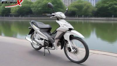 China Red Black 4-Stroke Two wheeled Vehicle Kick Starter System Hydraulic Damping Front Suspension for sale