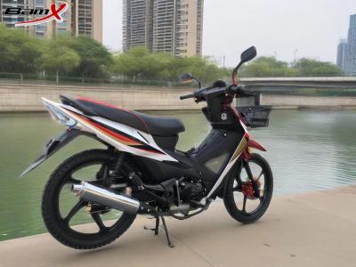 China 4-Stroke Hydraulic Damping Disc Brake Mini Motorcycle with Kick Starter 125cc scooter motorcycle petrol scooter for sale