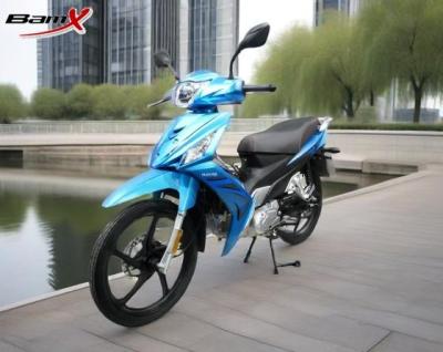 China 8000rpm 110cc Cub Motorbike 5 Bones Touring Motorcycles Alloy Wheel Disc Brake Crystal Lamp 4.3l Dirt Bike Bicycle for sale
