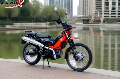 China Single Cylinder Chrome CUB Motorcycle 125cc Motocross Bike 2.1l Off Road Dirt Bike for sale