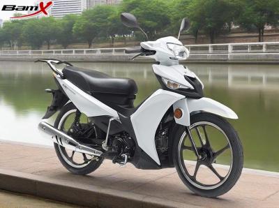 China 7500rpm CUB Motorcycle Bmx Cub Automatic Clutch Muffler Matte Black Sports Bike for sale